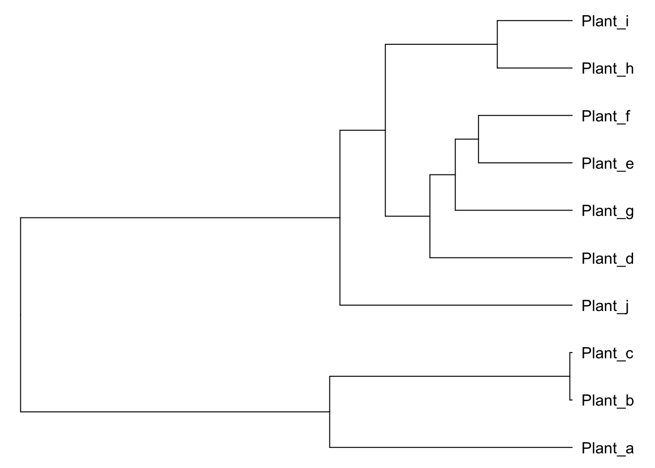 5 DAISIEprep – Island Biology DAISIE Practical